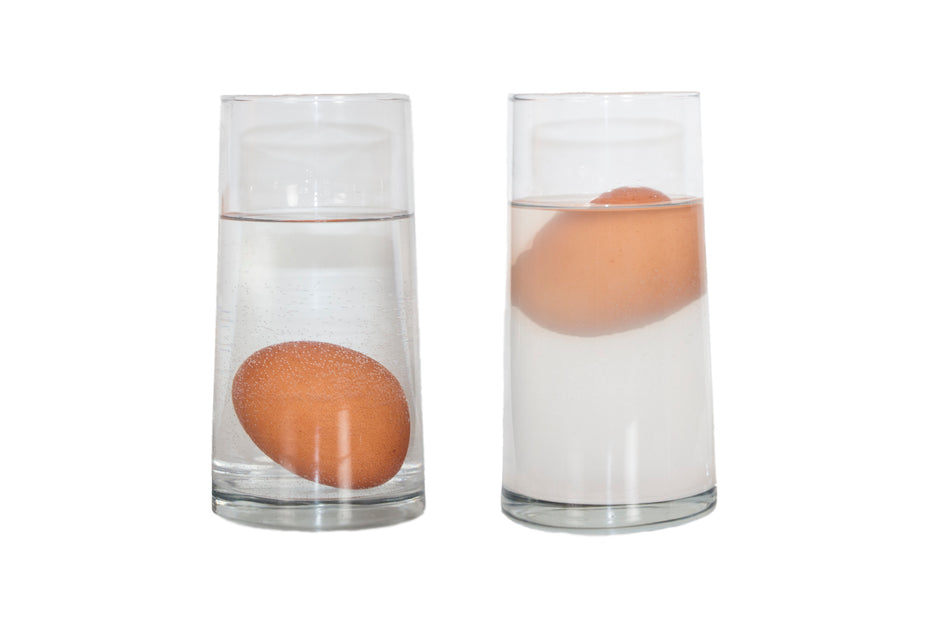 Sink or Float? | Easy Science for Kids – Moose Mischief